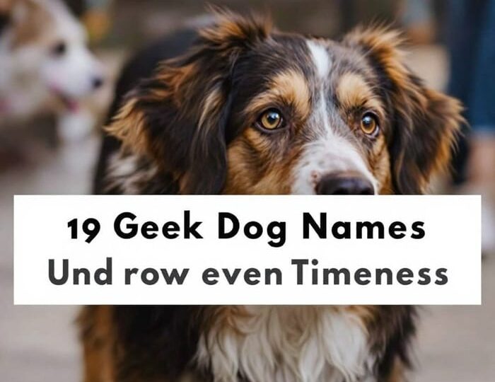 What is the Phylum of a Dog? The #1 Complete Scientific Breakdown ...