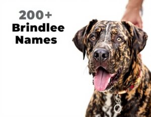 200+ Brindle Dog Names That Stand Out with Style and Strength ...
